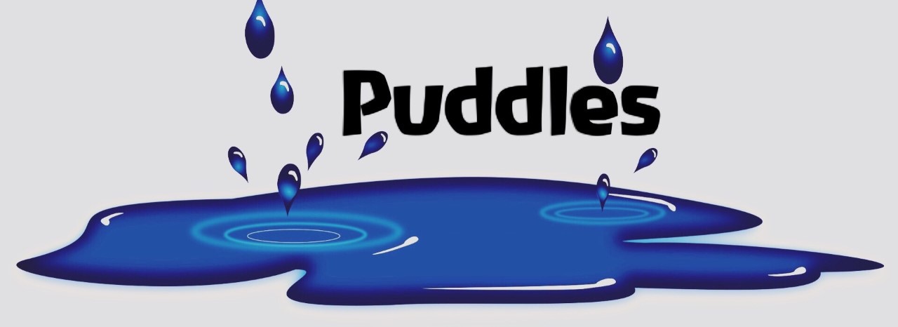Puddles - Our team